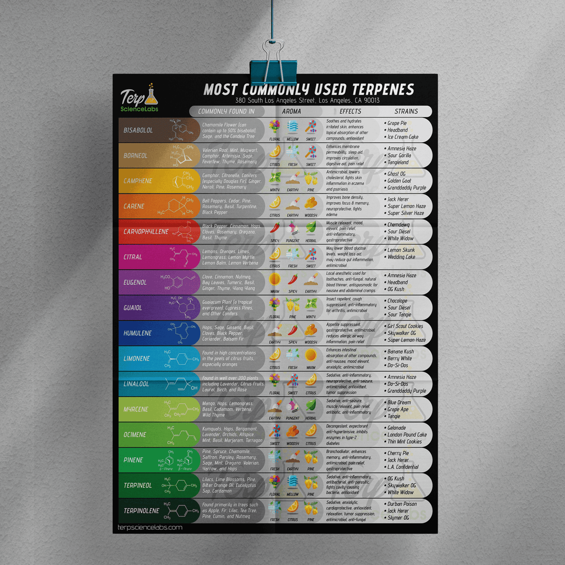 Common Terpenes Poster – Terp Science Labs